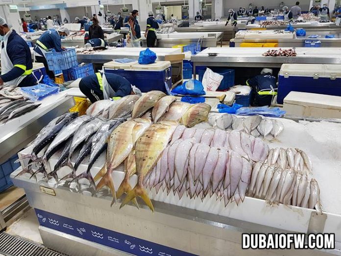 Deira Waterfront Market in Dubai: Fresh Fish, Meat, Fruits & Vegetables ... Deira Waterfront Market in Dubai: Fresh Fish, Meat, Fruits & Vegetables ...