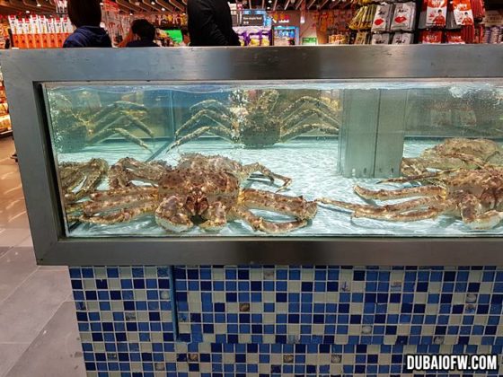 72 PHOTOS: WEMART Hypermarket and Food Court in Deira - What to Expect ...
