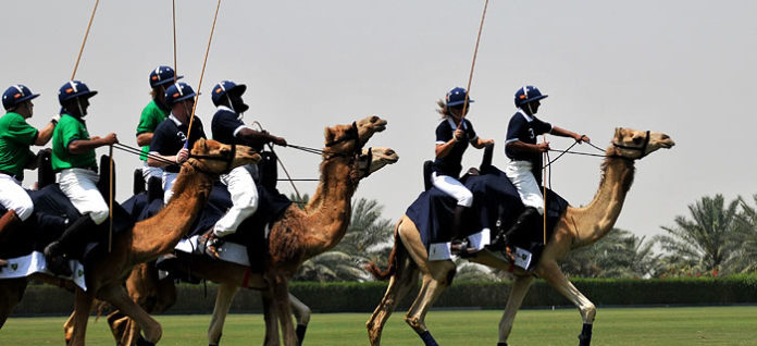 17 Best Team Building Activities in Dubai | Corporate Team Building ...