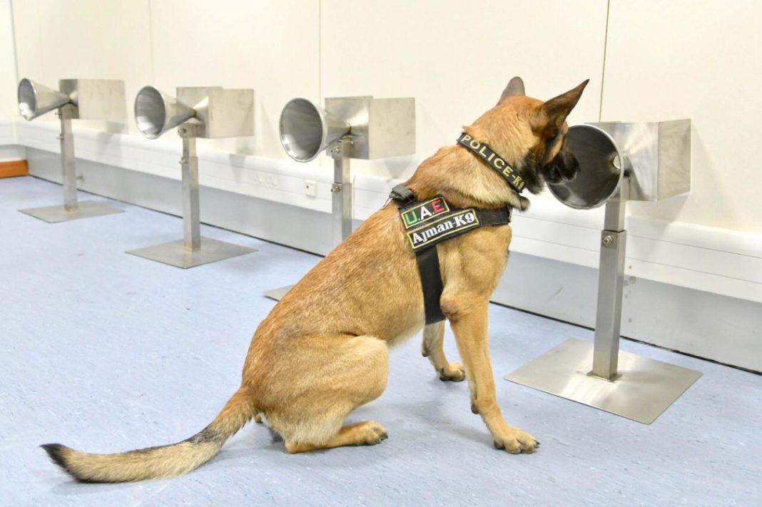 WATCH: UAE K9 Police Dogs Trained to Detect Persons with COVID-19 | Dubai OFW