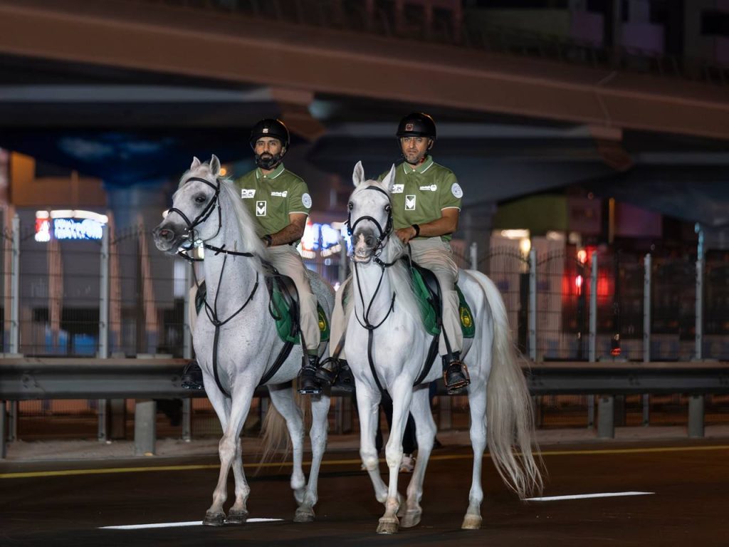IN PHOTOS: HH Sheikh Hamdan Leads 278,000 Participants in Dubai Run ...